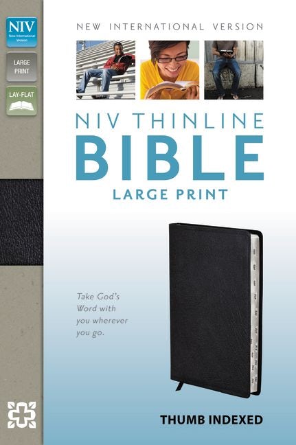 NIV, Thinline Bible, Large Print, Bonded Leather, Black, Indexed, Red ...